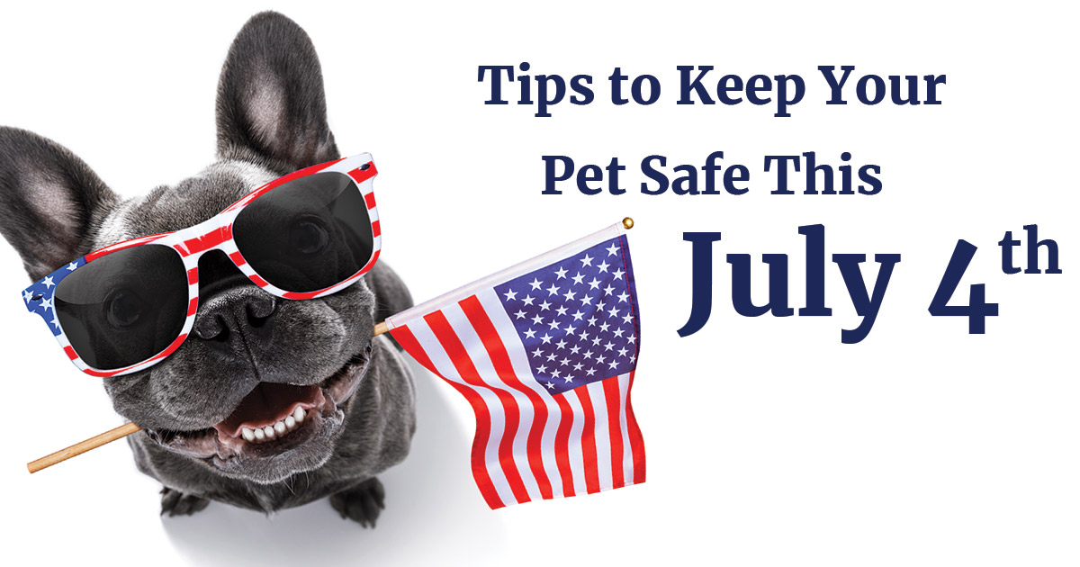 Pet Safety Tips for July 4th | Animal Medical Center at Fort Sheridan